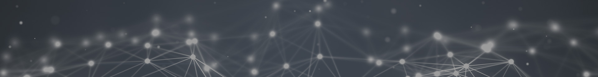 King Single-Sided | PIM Display